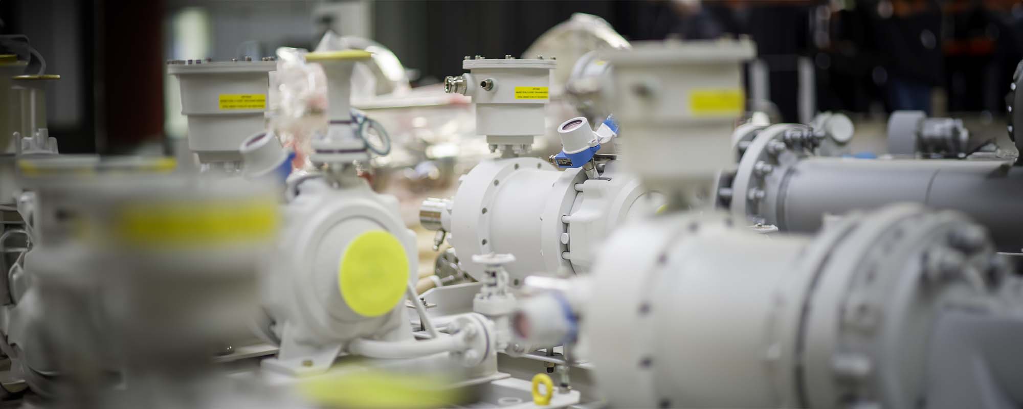 Canned Motor Pumps manufacturer, API 685 & ISO 15783 industrial pumps