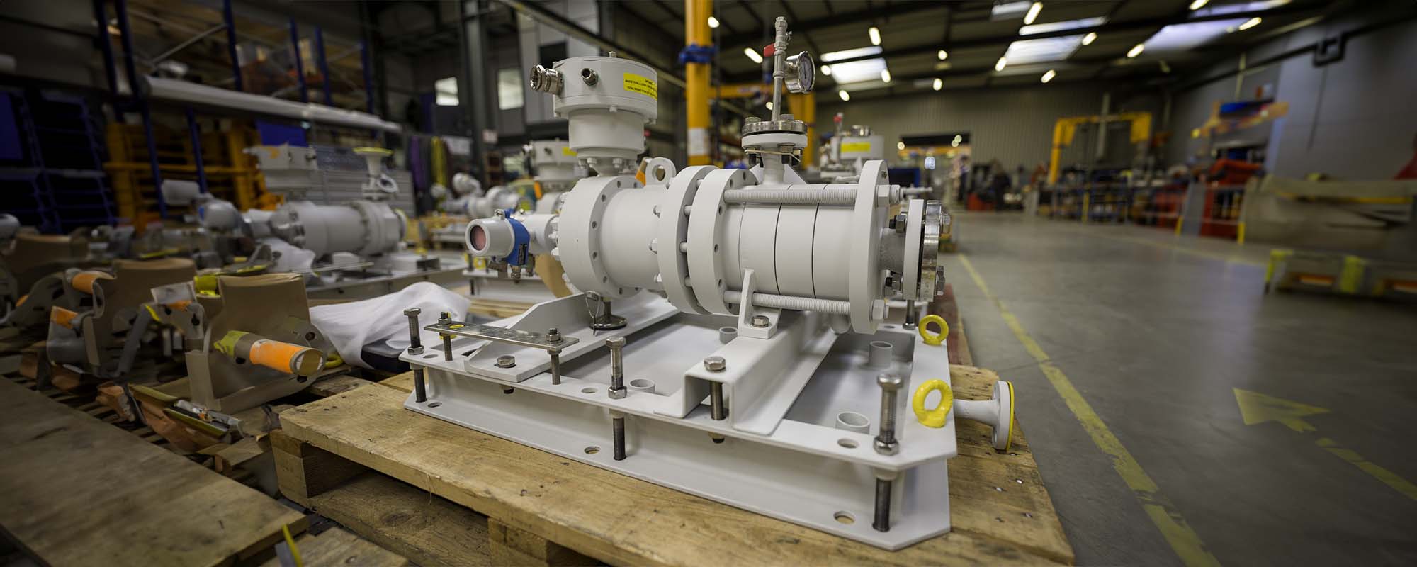 Canned Motor Pumps manufacturer, API 685 & ISO 15783 industrial pumps