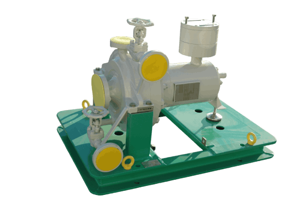 Horizontal centrifugal pump manufacturer, custom built canned motor pump